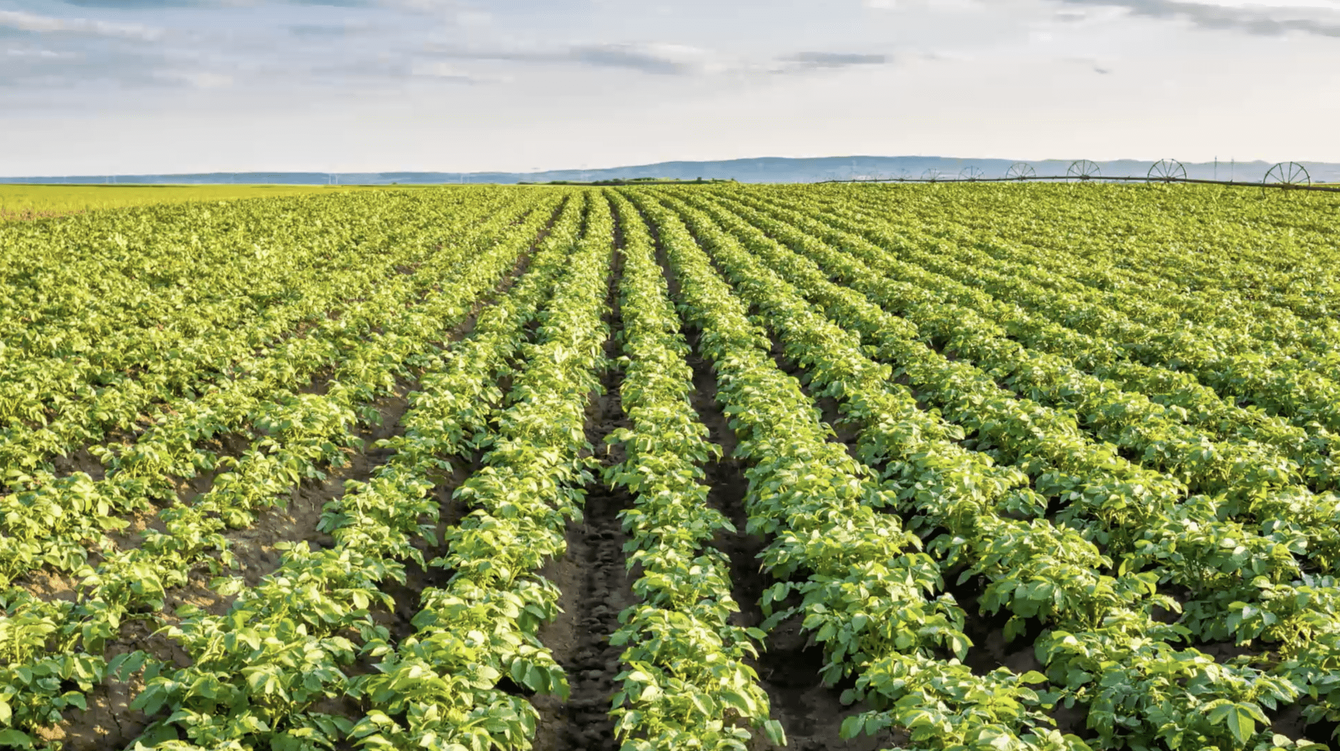 Science amplified sustainably - Elemental Enzymes Australia