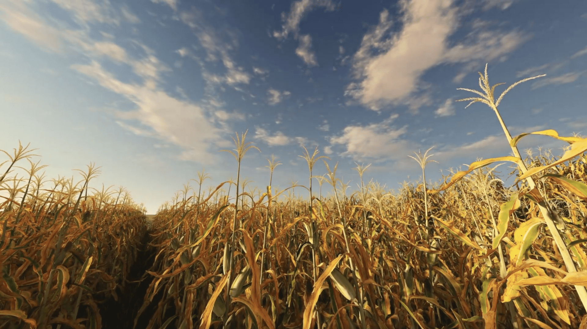 Science amplified sustainably - Elemental Enzymes Australia